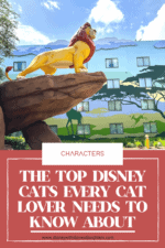 59 Top Disney Cats That Cat Lovers Need to Know