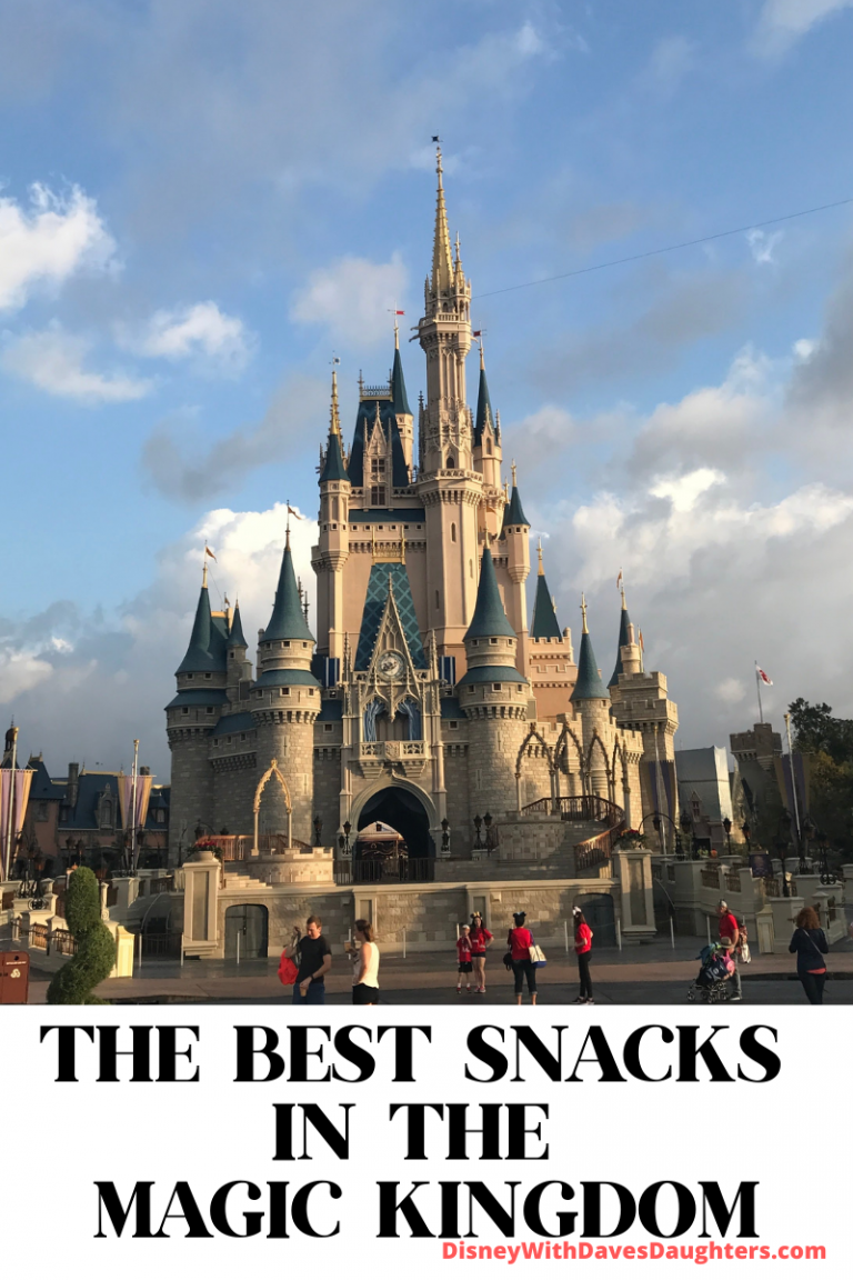 The 15 Best Snacks in the Magic Kingdom