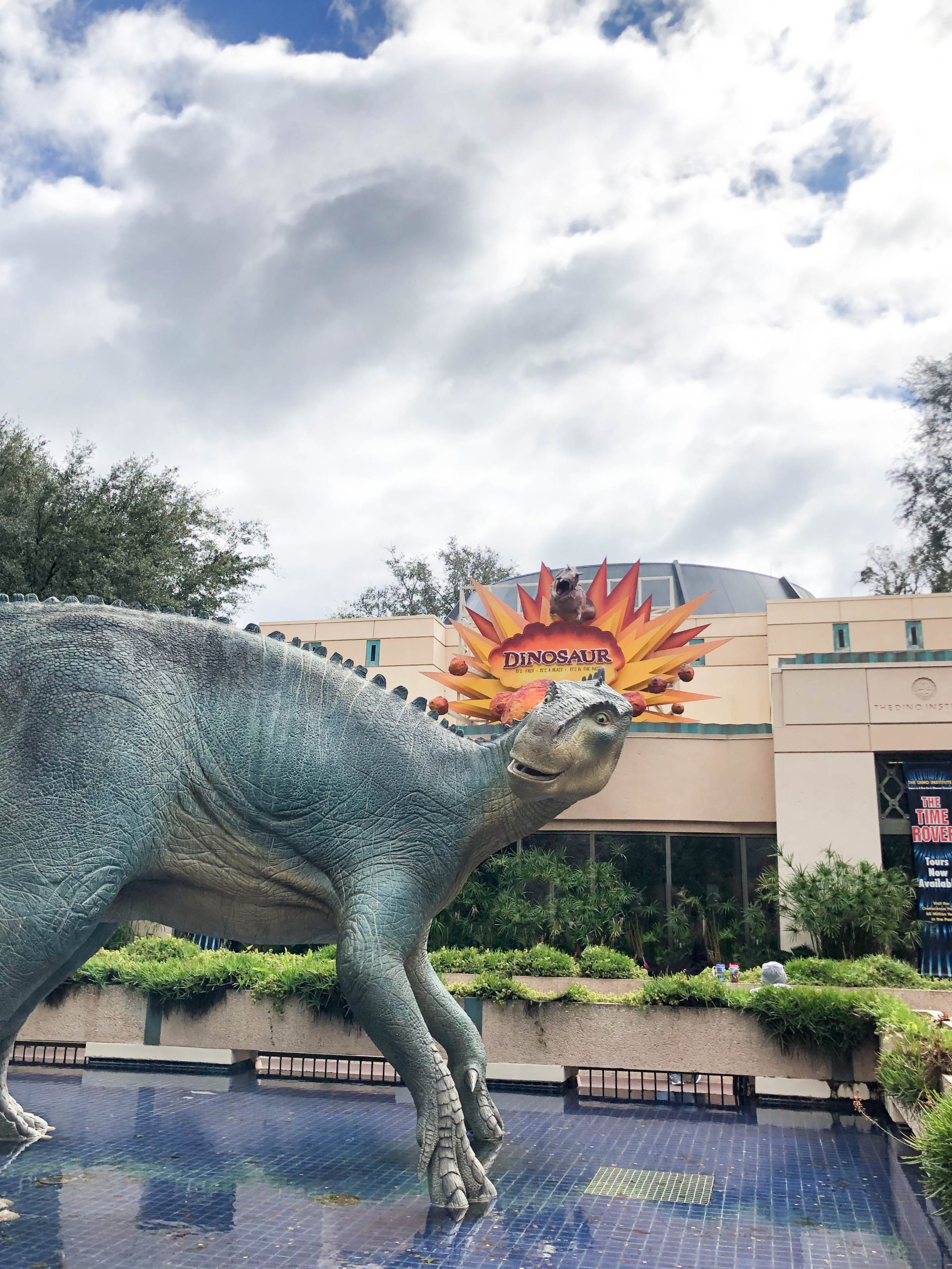 The 9 Best Rides at Animal Kingdom - Disney With Dave's Daughters