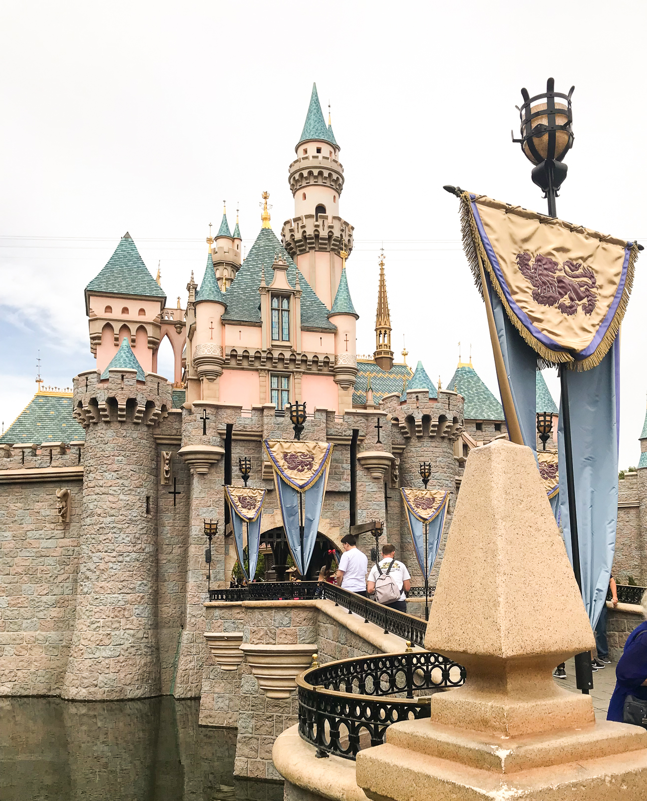 Walt Disney World vs Disneyland: 15 Differences To Help You Choose