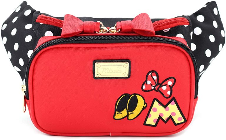 21 Best Fanny Pack For Disney World - Disney With Dave's Daughters