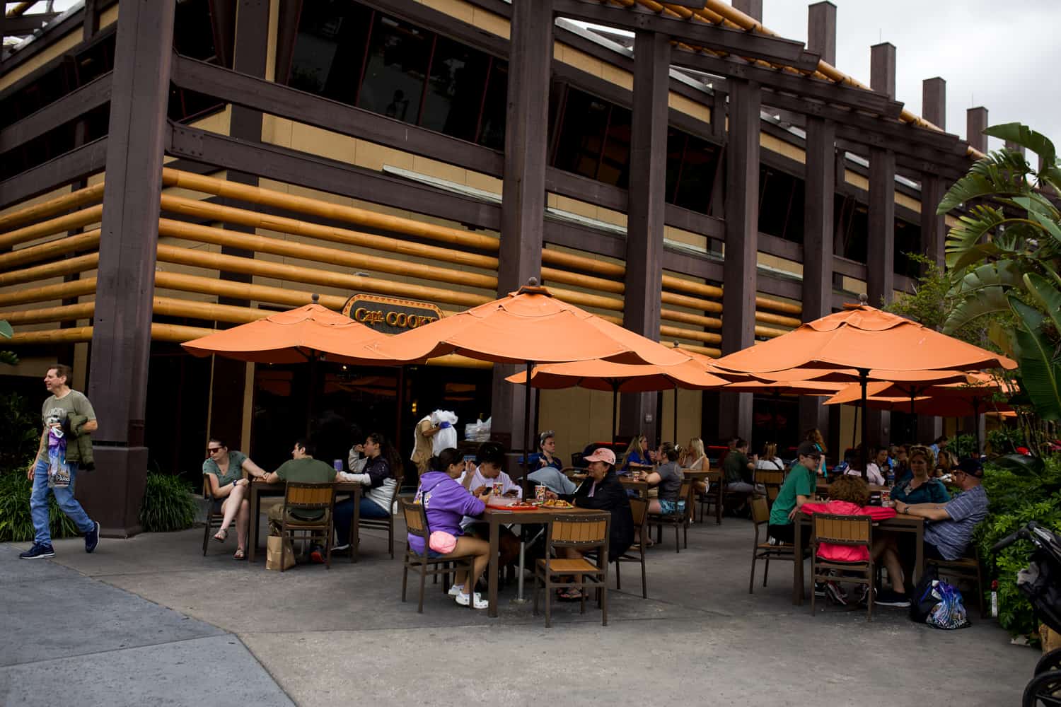 Disney's Polynesian Resort Restaurants - Best Dining Options