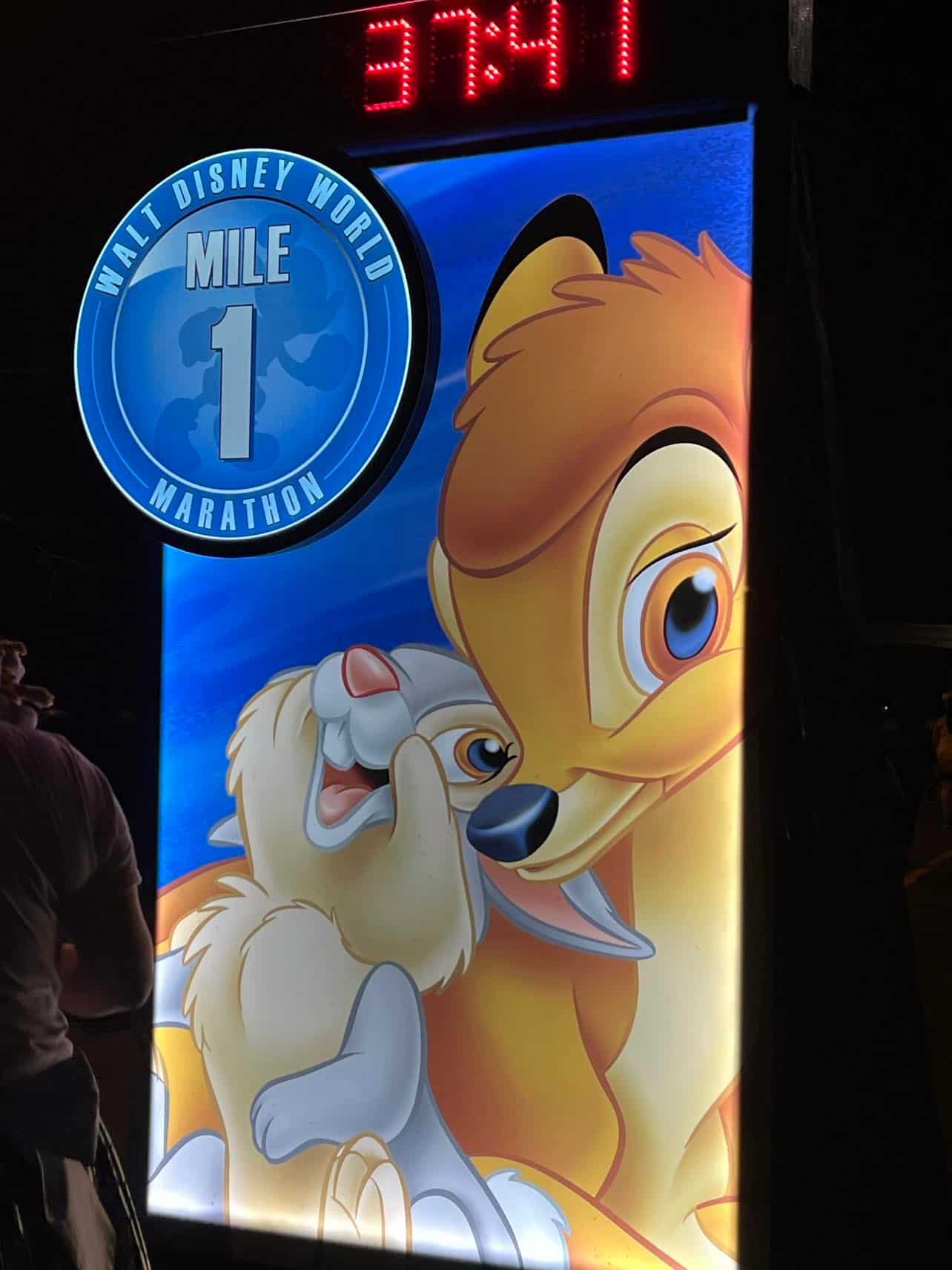 runDisney - Everything to Know About Walt Disney Races and Events (2026)