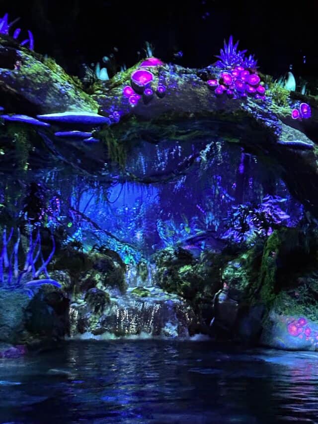Disney World Water Rides Ranked By How Wet You'll Get