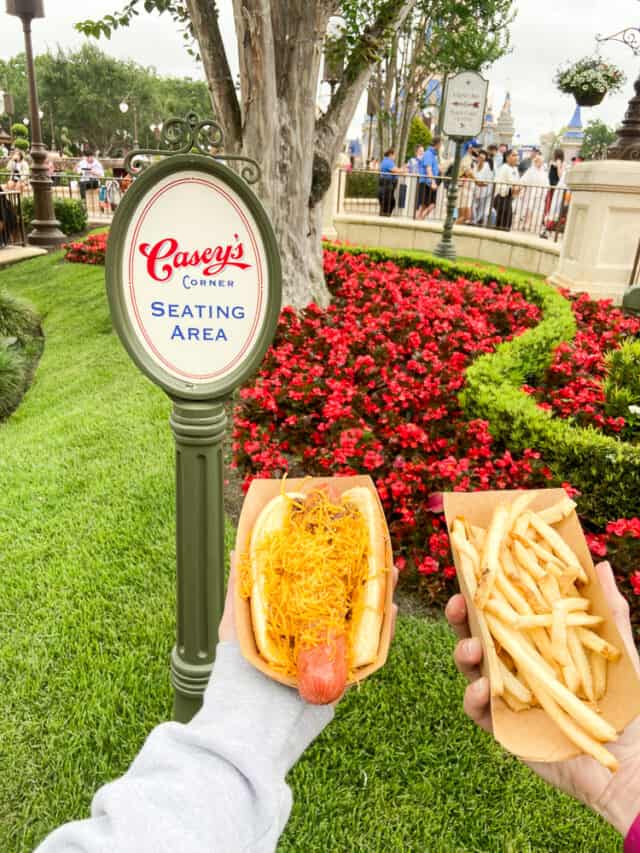 How Many Acres is Disney World & How Big is Each Park