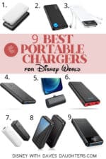 9 Best Portable Chargers for Disney World 2025