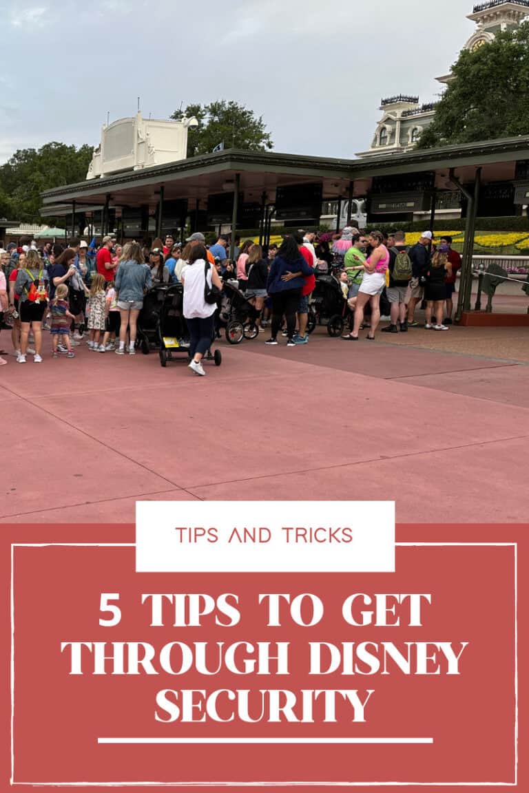 5 Tips You Need To Get Through Disney Security Quickly