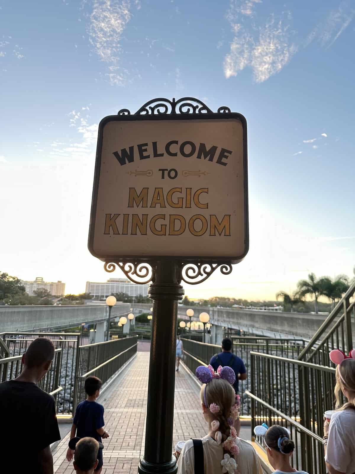 Disney World VIP Tour: Is The Price Worth It?