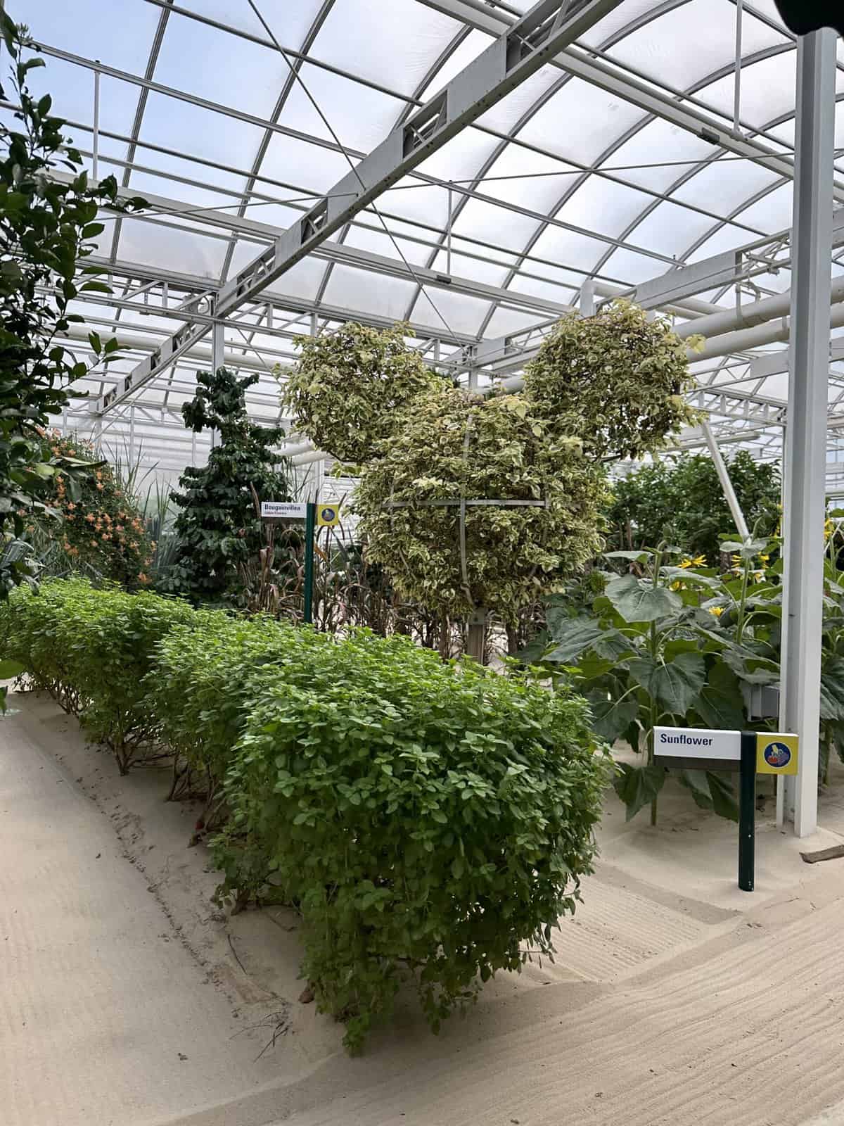 9 Unique Things to Know About Living with the Land in EPCOT